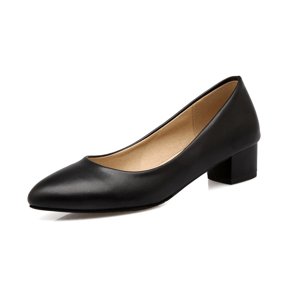 Pointed Toe Chunky Heel Basic Pumps – Onlymaker